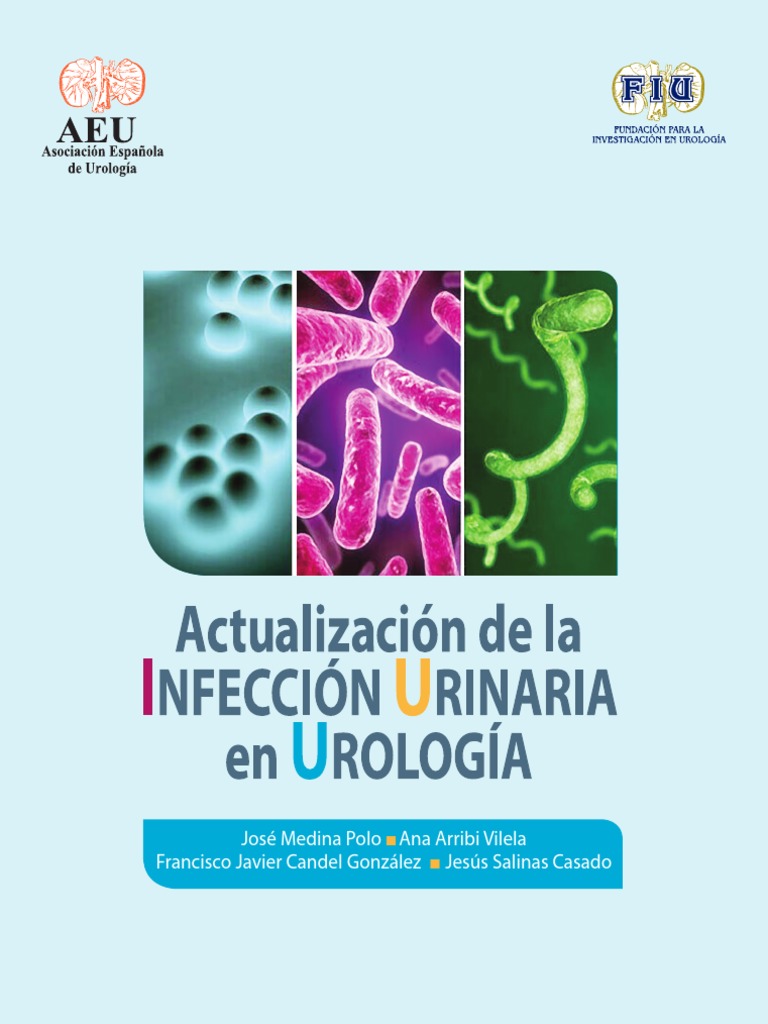 Actualización de La Infección Urinaria en Urología - Aeu | PDF ...
