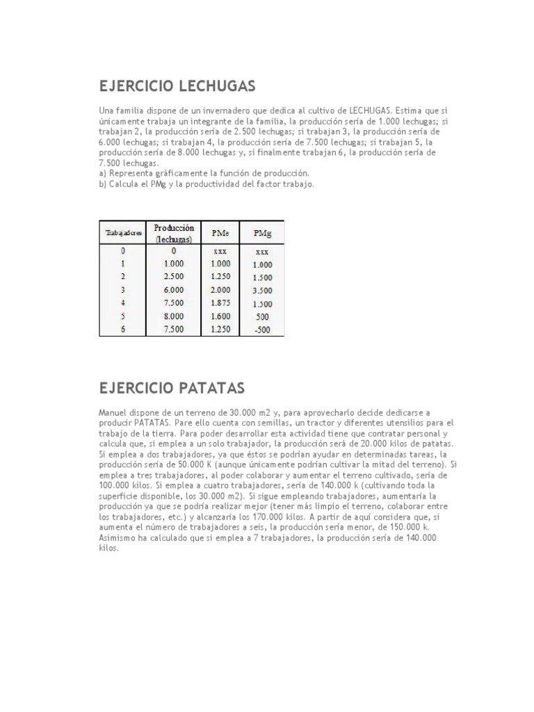 Ejercicio Lechugas | PDF | Costo marginal | Business