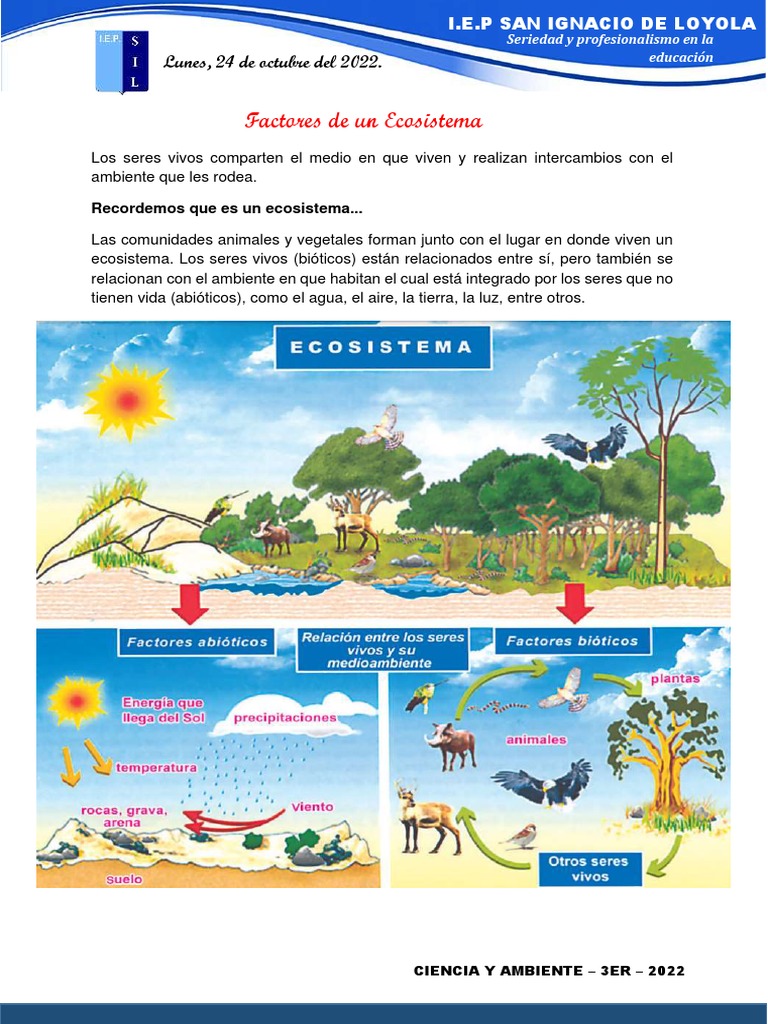 Factores de Un Ecosistema | PDF