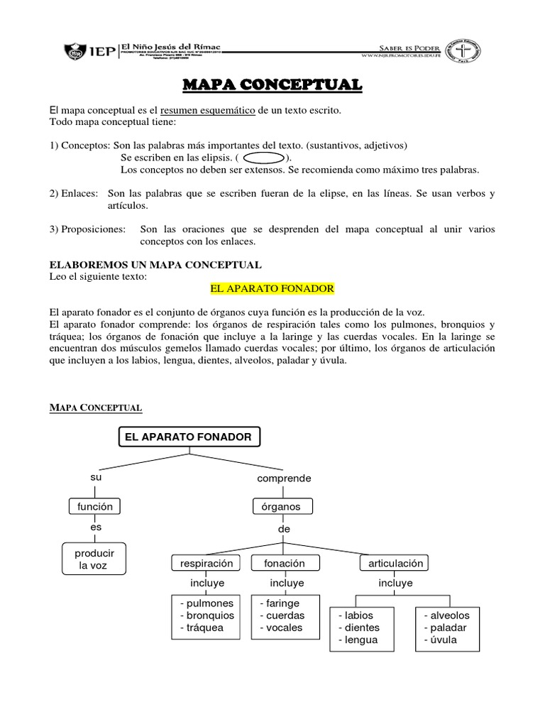 Elaboramos Un Mapa Conceptual para Tercero de Primaria | PDF | Pulmón ...
