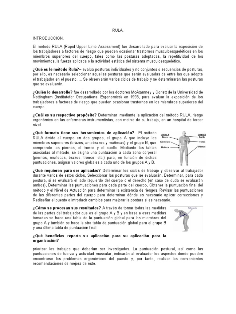 RULA | PDF | Factores humanos y ergonomía