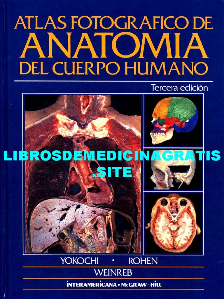 Atlas Fotografico de Anatomia Del Cuerpo Humano | PDF | Zoología | Anatomía