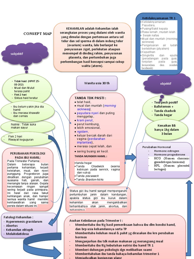 Mind Mapping ASKEB Kehamilan | PDF