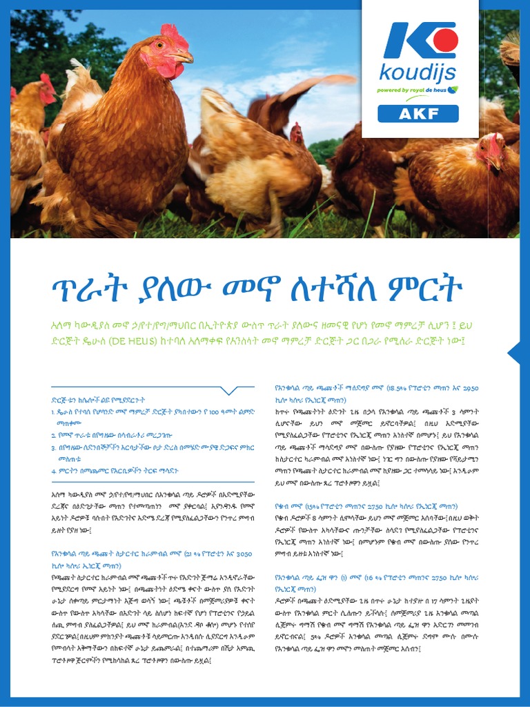 dhv15067 Leaflet A4 Layer Chicken Ethiopie AH 2s | PDF