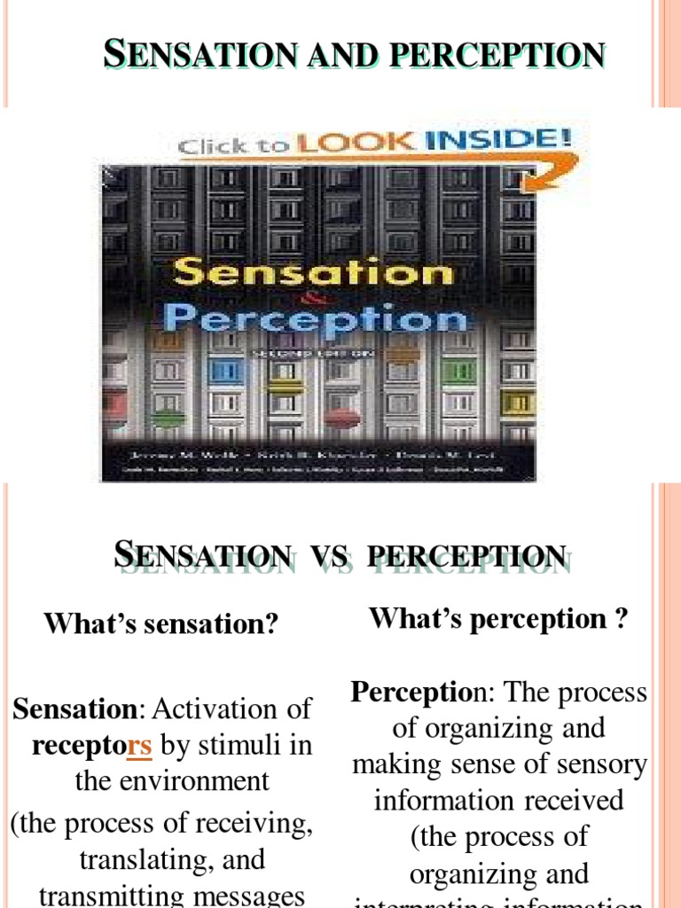 1.sensation and Perception Revised | PDF | Senses | Perception