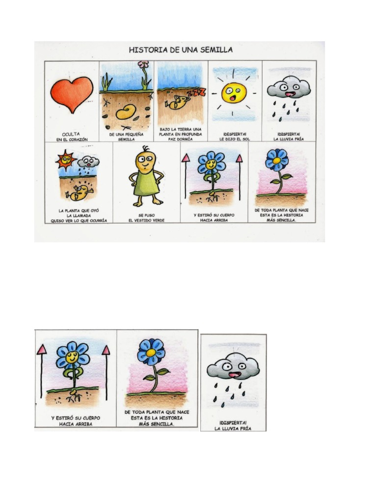 Historia de Una Semilla | PDF