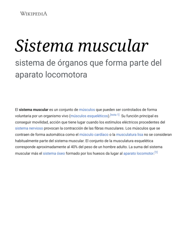 Sistema Muscular - Wikipedia, La Enciclopedia Libre | PDF | Músculo ... Sistema Muscular - Wikipedia, La Enciclopedia Libre | PDF | Músculo ...