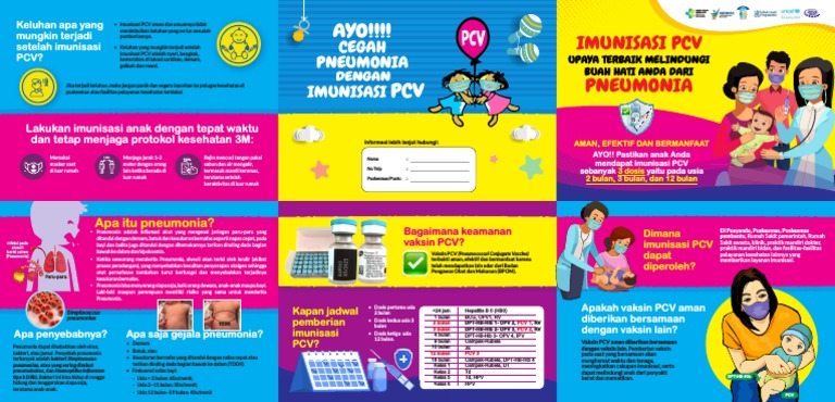 Leaflet Imunisasi PCV | PDF
