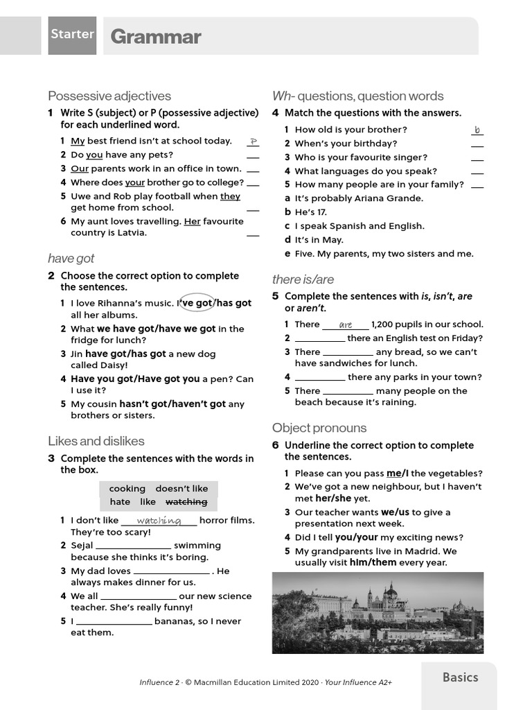 L2 A2PLUS Starter Basics Grammar Vocabulary | PDF | English Language ...