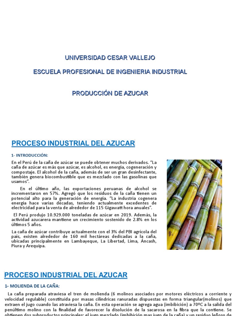 Produccion de Azucar | PDF | Evaporación | Nucleación
