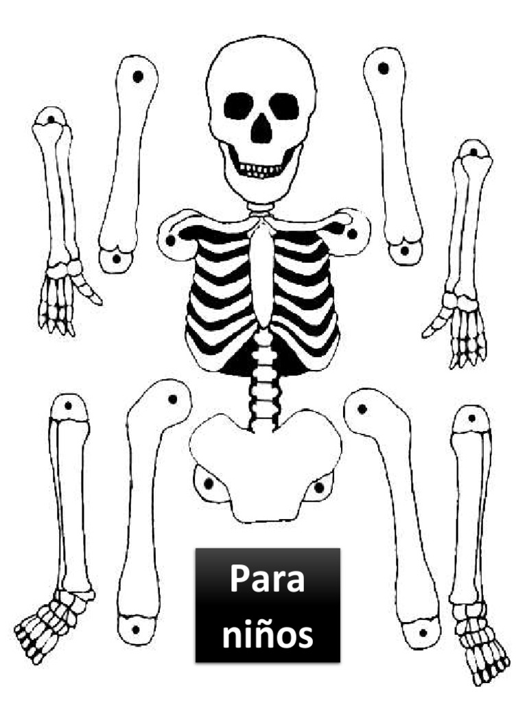 Esqueleto Niños | PDF