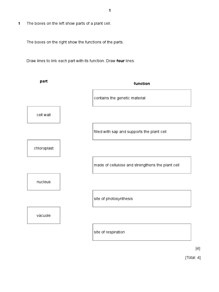 Biology 9 O Level Test Paper | PDF | Cell (Biology) | Plants