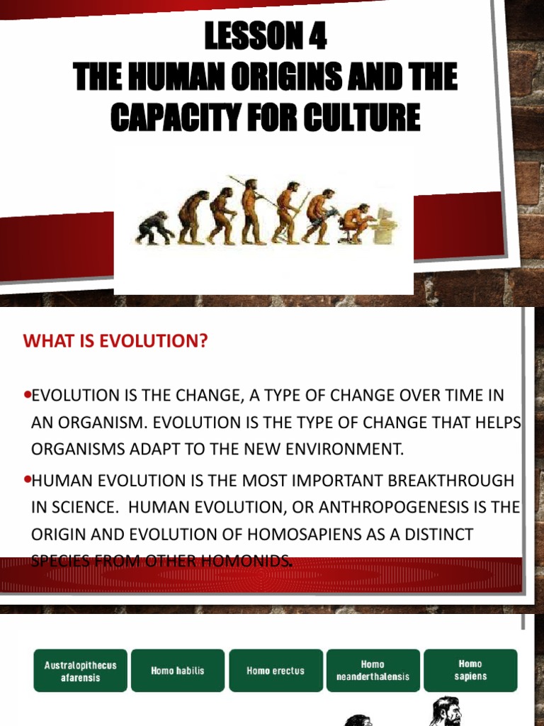 Lesson 4 The Human Origins and The Capicity For Culture | PDF | Homo ...