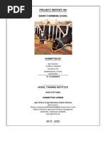 Cow Keeping Project Proposal | PDF | Dairy | Cattle