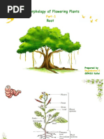 Herbarium Format Project | PDF | Botany | Plants