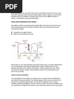 Uf Profile Book | PDF | Hemodialysis | Blood Plasma