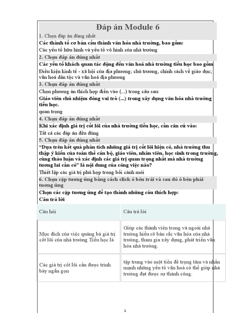 Dap An Module 6 7 8 Tieu Hoc 1 | PDF