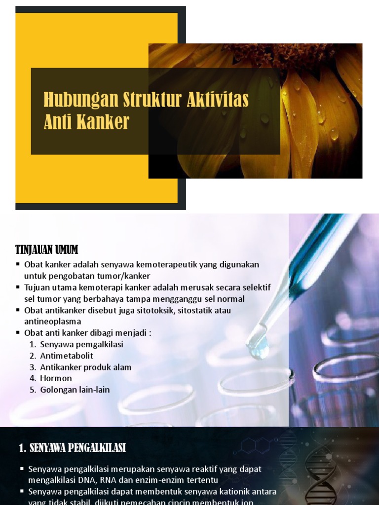 Hubungan Struktur Aktivitas Anti Kanker | PDF | Pengembangan Diri ...