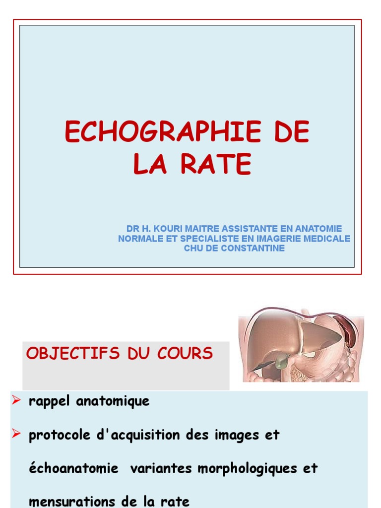 Echographie de La Rate DR Kouri | PDF | Rate | Cancer