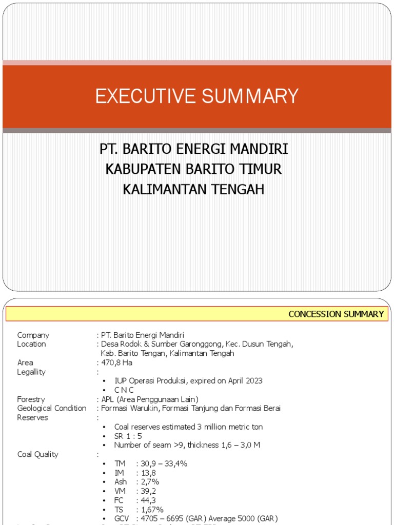 BEM Exsum Sumary | PDF