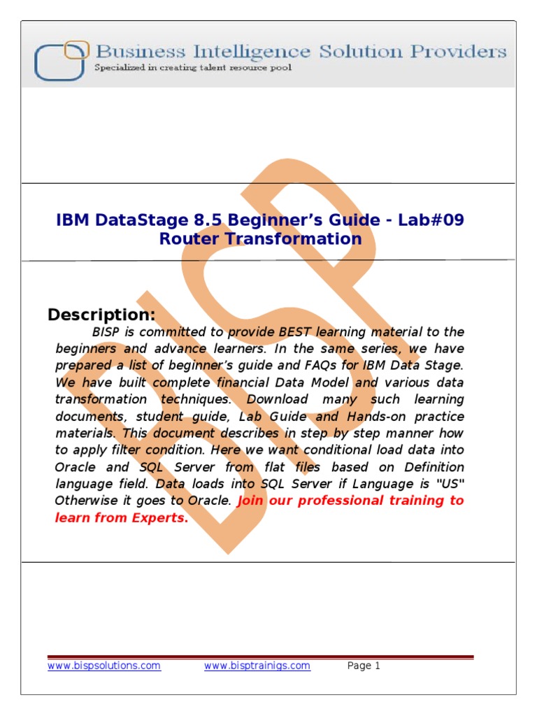 IBM DataStage 8.5 Beginner's Guide - Lab#09 RouterTransformation | PDF ...