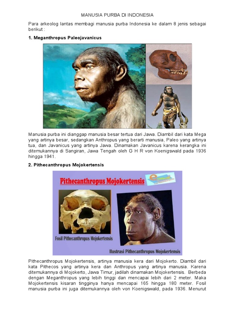 Manusia Purba Di Indonesia | PDF