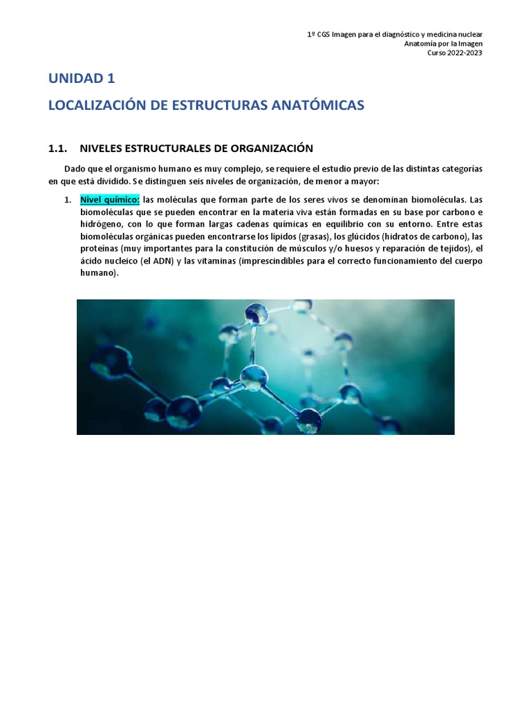 UD1 Localización de Estructuras Anatómicas | PDF | Digestión | Respiración