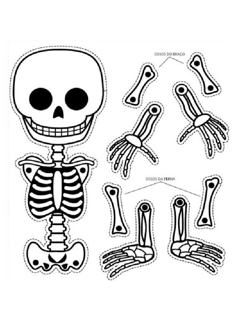 Calavera para Armar - 115511 | PDF