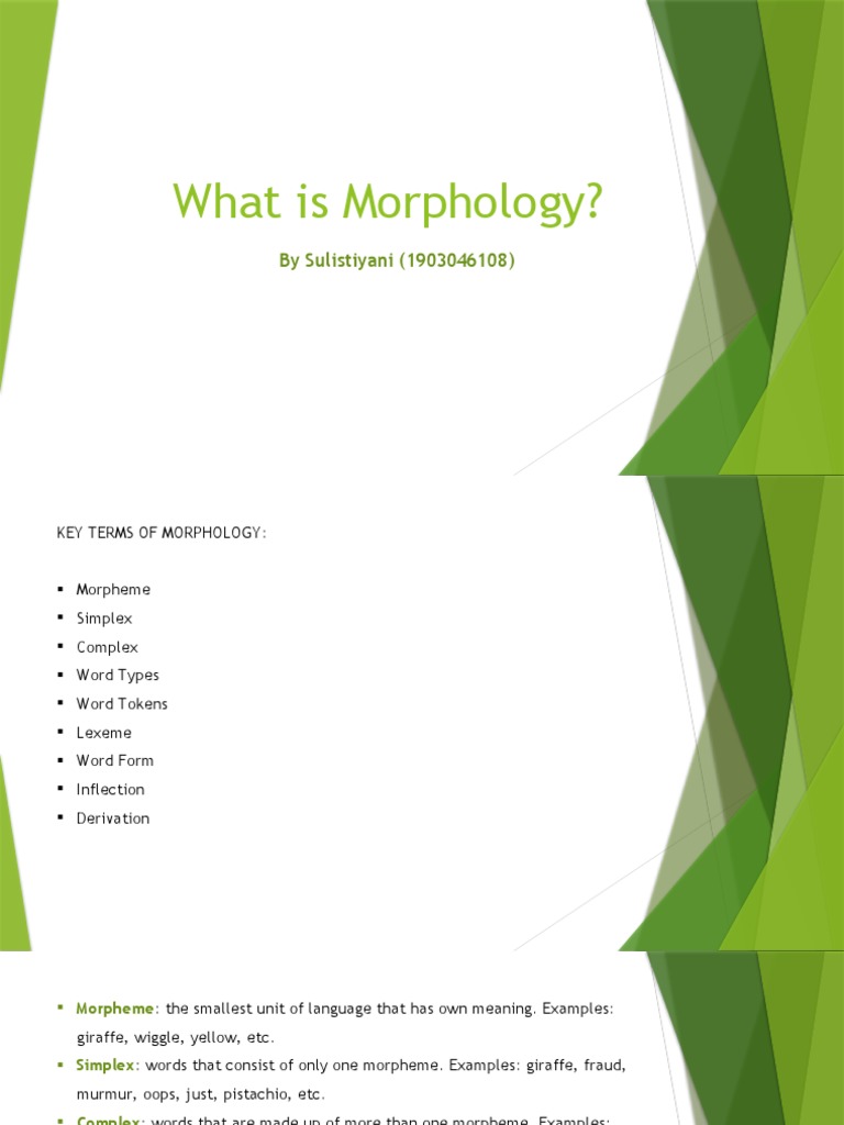 What Is Morphology | PDF | Morphology (Linguistics) | Word
