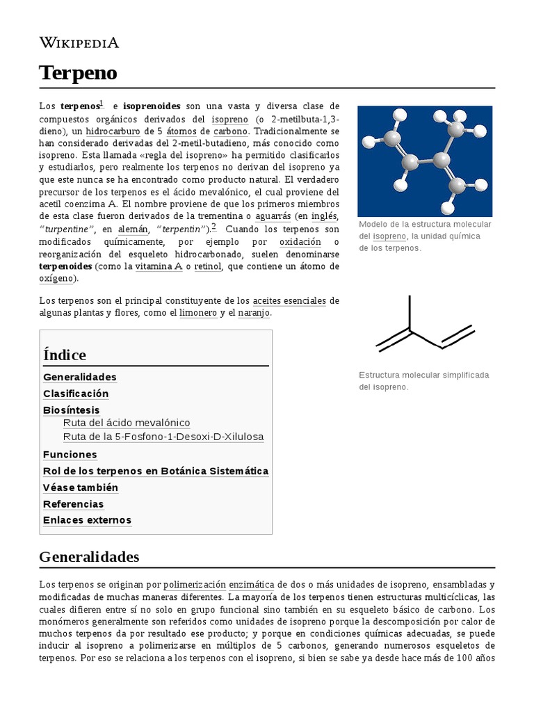 Estructura y clasificación de terpenos | PDF | Productos naturales ...
