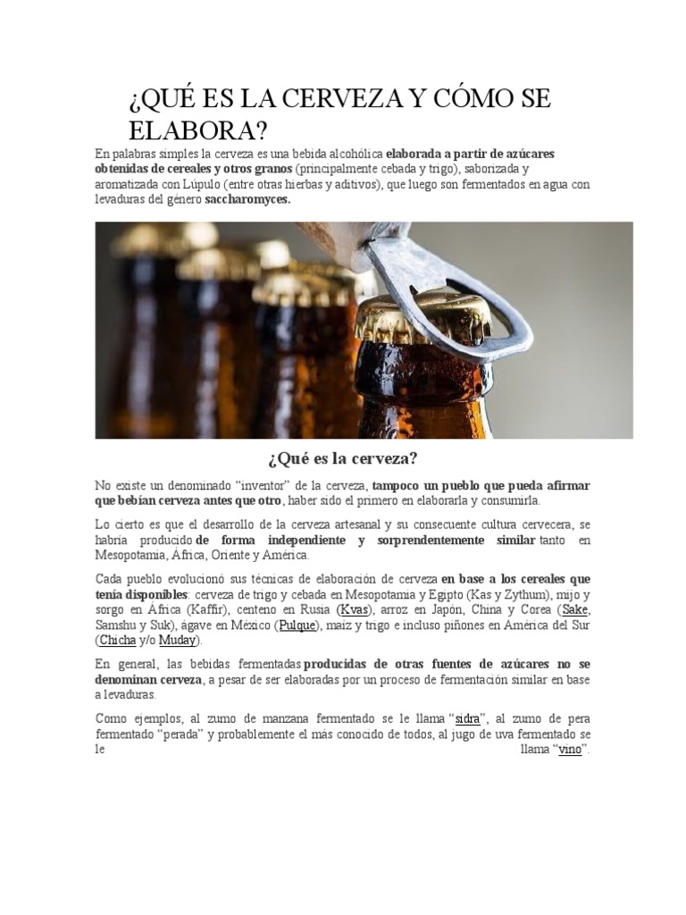 Qué Es La Cerveza y Cómo Se Elabora | PDF | Cerveza | Fabricación de cerveza