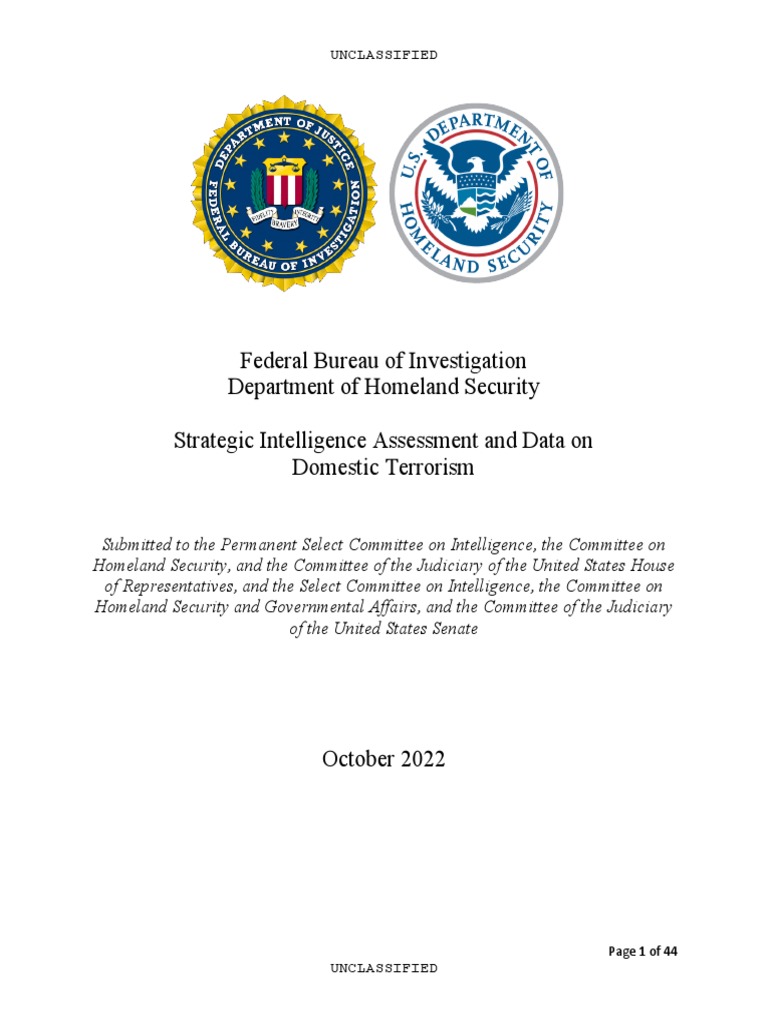 22 1025 Strategic Intelligence Assessment Data Domestic Terrorism | PDF ...