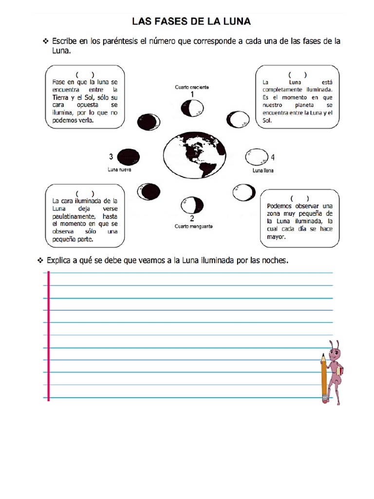 Fases de La Luna | PDF