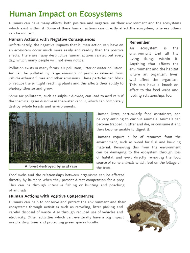 Human Impact On Ecosystems Reading Comprehension | Download Free PDF ...