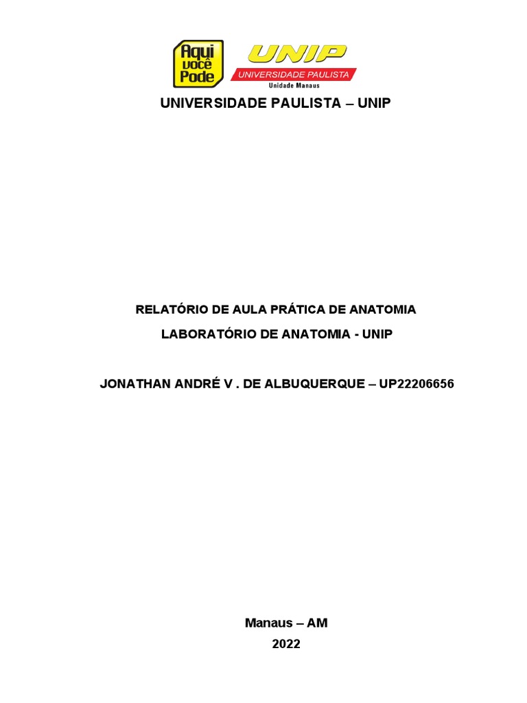 Anatomia Pdf Osso Esqueleto