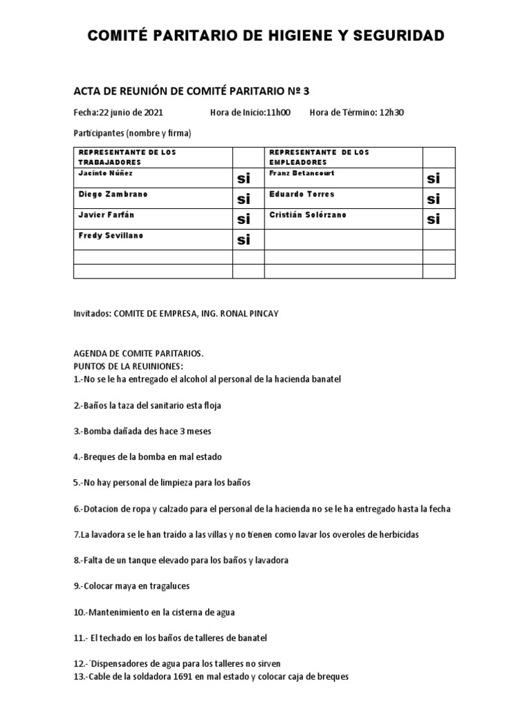 Comité Paritario de Higiene y Seguridad | PDF