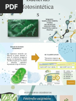 QUIMIOTROFOS | PDF | Sustancias químicas | Biología