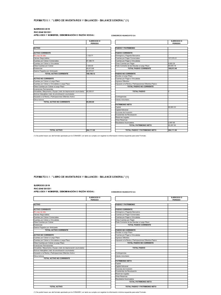Formato3 1 - Libro Inventarios y Balances - Balance Gral | PDF | Activo ...