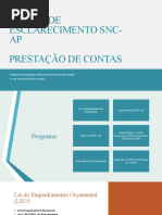 SNC-AP: Estrutura e Normas Contábeis Públicas | PDF | Contabilidade ...