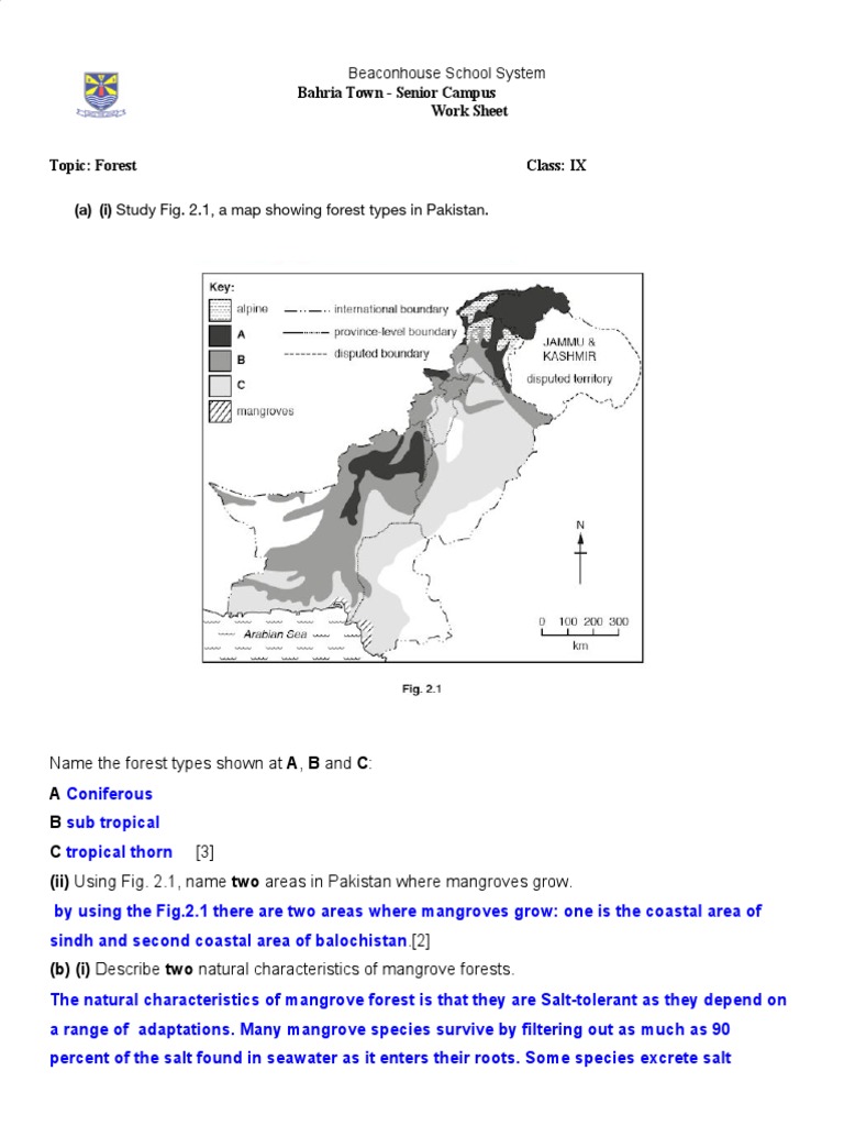 Forest Worksheet | PDF | Mangrove | Trees