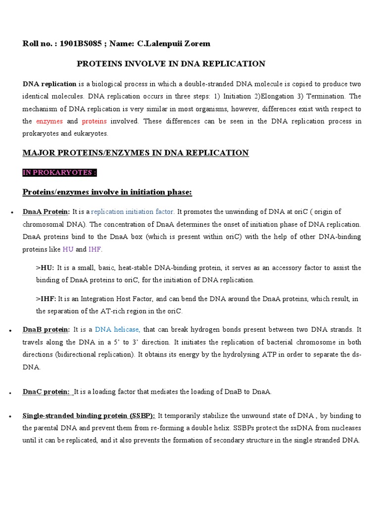 1901bs085 Molecular Biology Pdf Dna Replication Primer