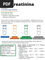 Inserto Spinreact Creatinina | PDF | Creatinina | Química