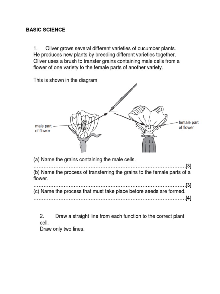 Cucumber breeding techniques | PDF | Flowers | Computing