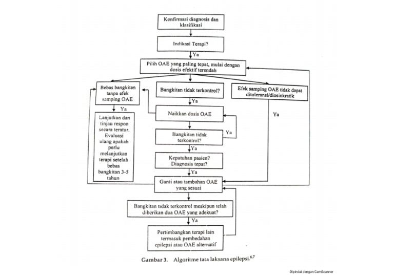 Algoritma Epilepsi | PDF