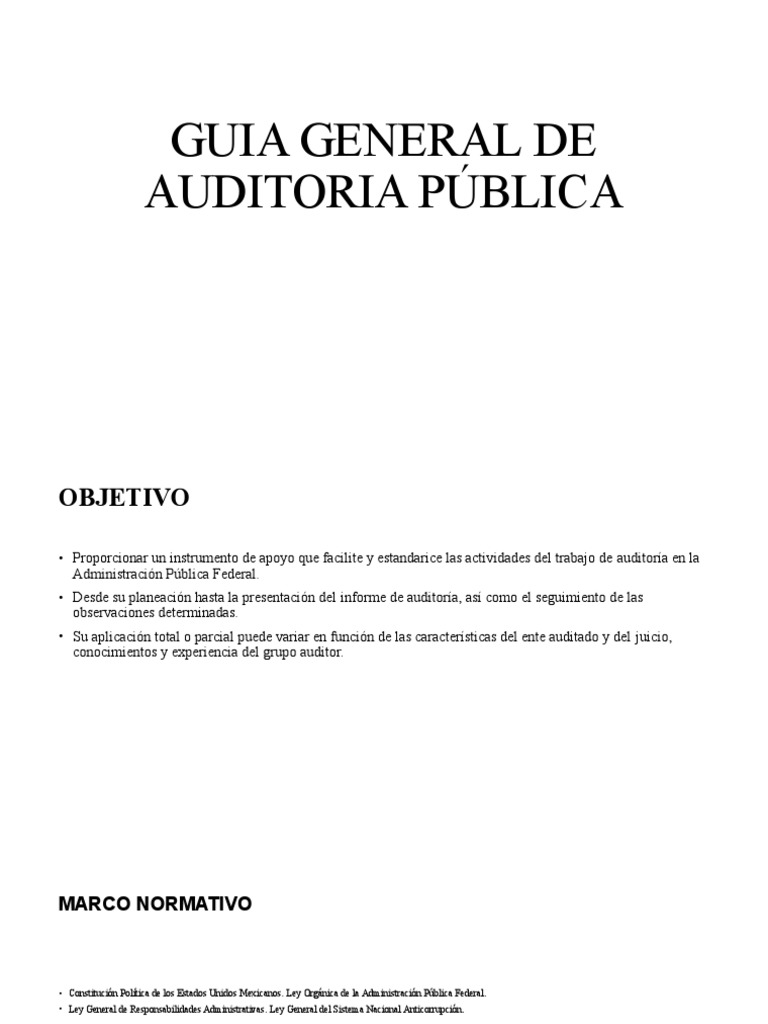 Guia General Auditoria | PDF | Auditoría | Contralor