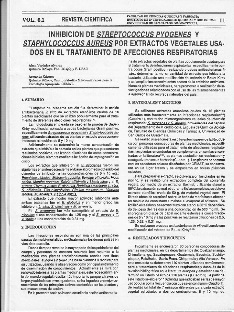 Inhibicion de Streptococcus Pyogenes Staphylococcus Aureus Por ...