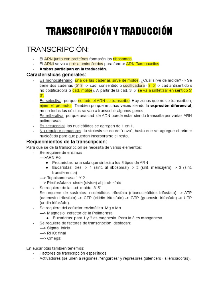 S10-Transcripción y Traducción | PDF | Traducción (biología) | Codigo ...