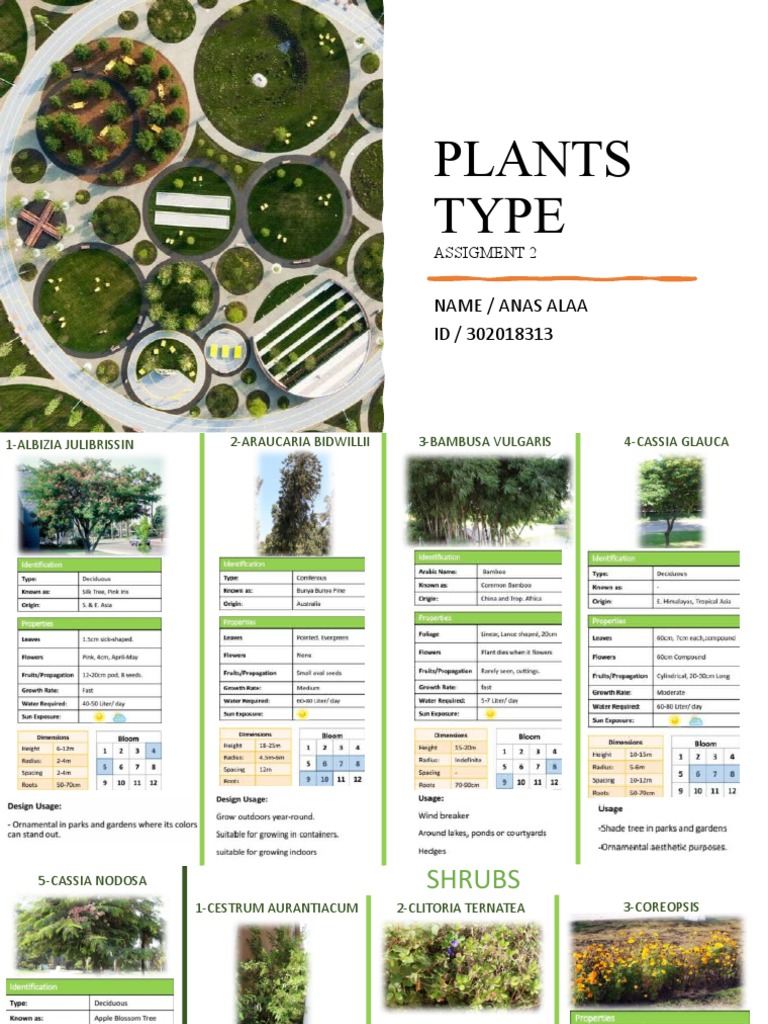 Plants Type | PDF