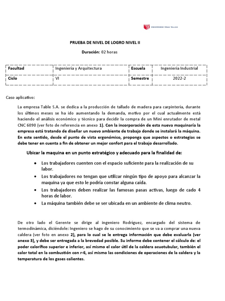 Prueba Nivel de Logro | PDF | Ingeniería | Business