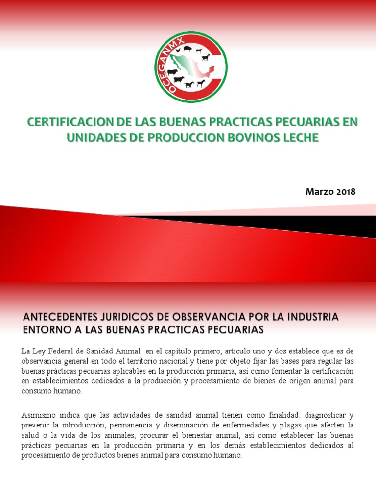 Certificación de Buenas Prácticas Pecuarias | PDF | Seguridad alimenticia | Alimentos